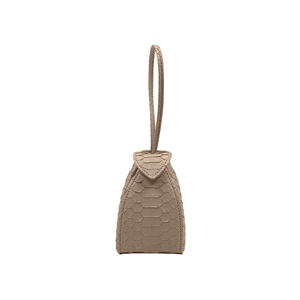 Baby Maria-Python Archives - THE LEGENDARY EXOTIC SKIN SINCE1937