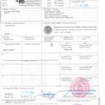 What Is CITES Certificate - THE LEGENDARY EXOTIC SKIN SINCE1937