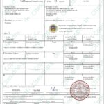 What Is CITES Certificate - THE LEGENDARY EXOTIC SKIN SINCE1937