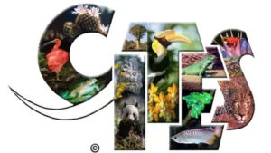 Everything You Need to Know About the CITES Certificate for Exotic ...